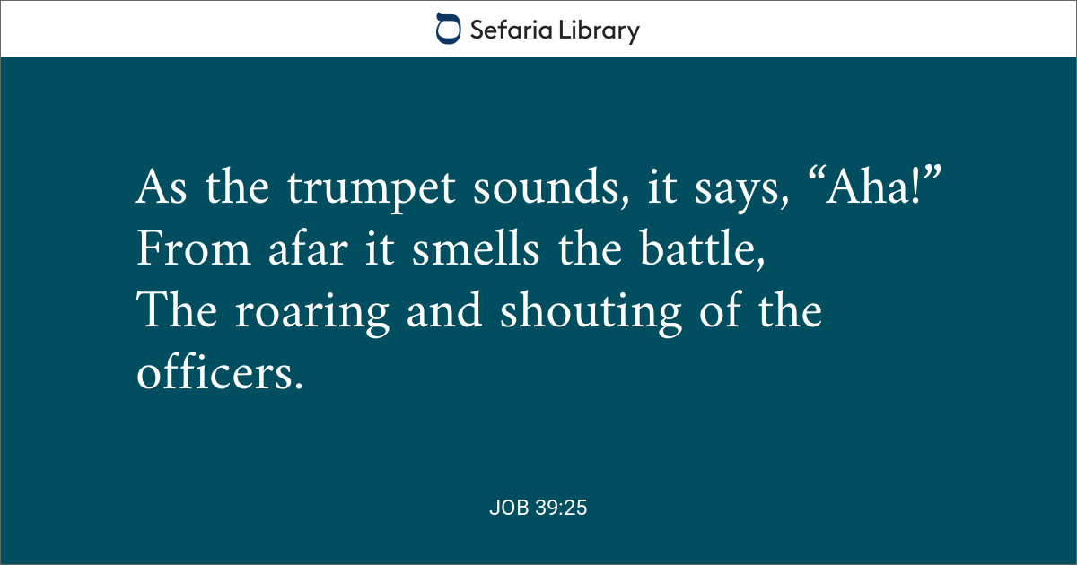 Job 39:25 | Sefaria Library