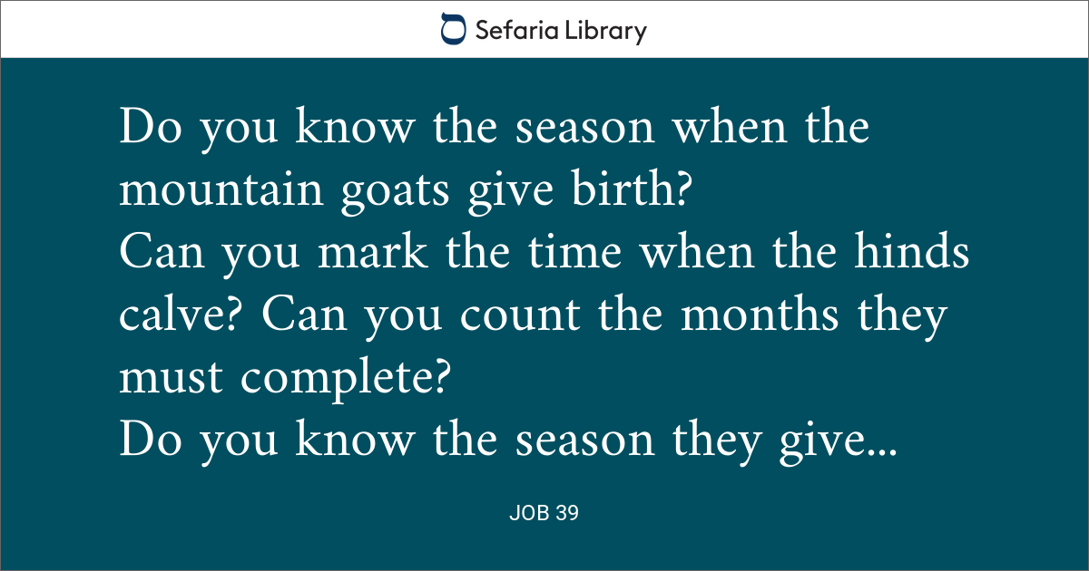 Job 39 | Sefaria Library