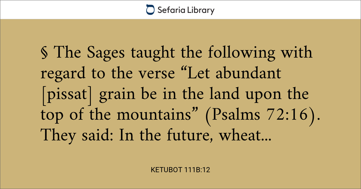 Ketubot 111b:12 | Sefaria Library