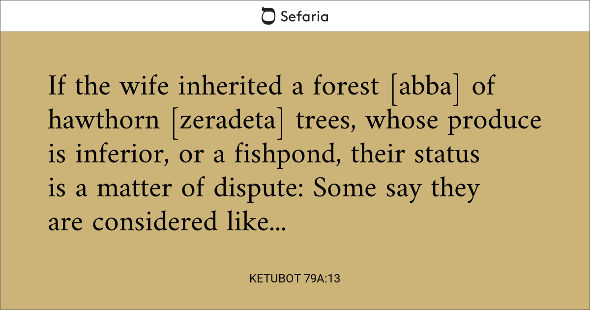 Ketubot 79a:13
