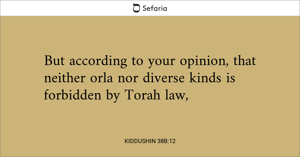 Kiddushin 38b:12