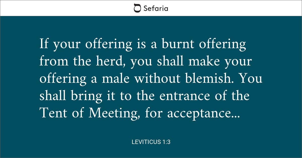 Leviticus 1:3