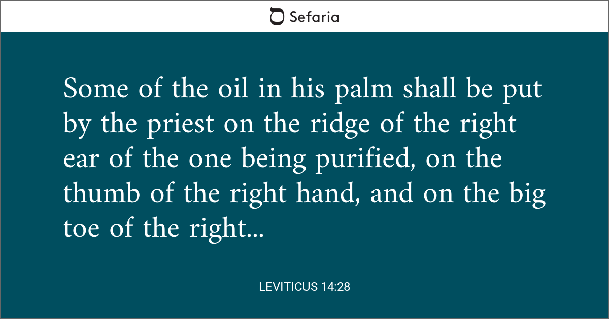 Leviticus 14:28