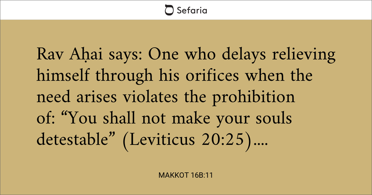 Makkot 16b:11