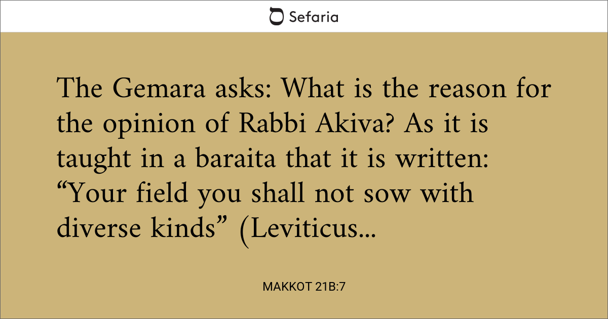 Makkot 21b:7