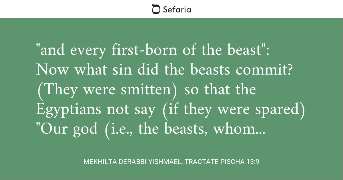 Mekhilta DeRabbi Yishmael, Tractate Pischa 13:9