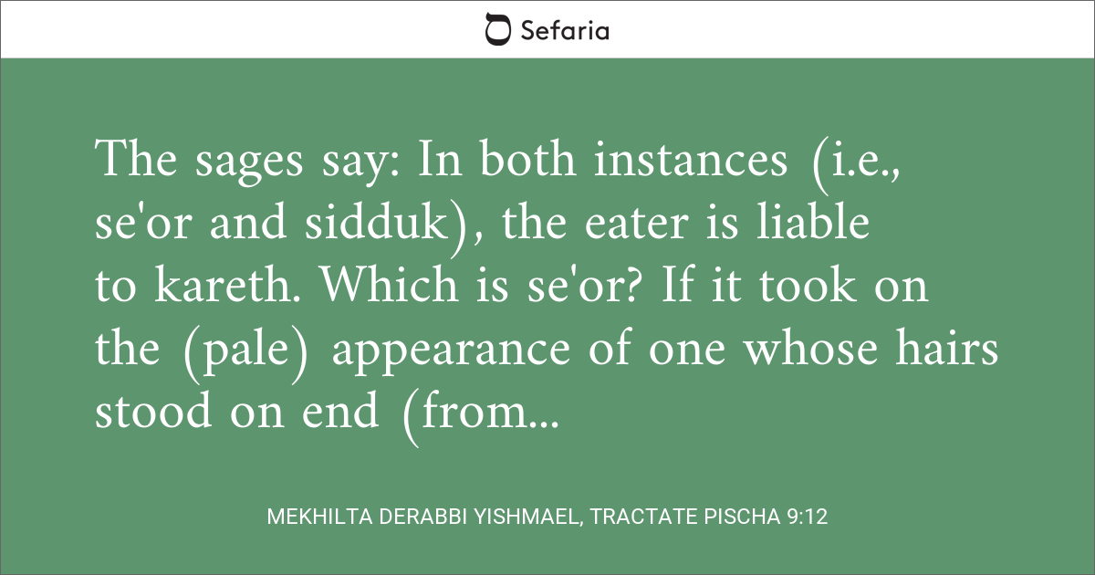 Mekhilta DeRabbi Yishmael, Tractate Pischa 9:12