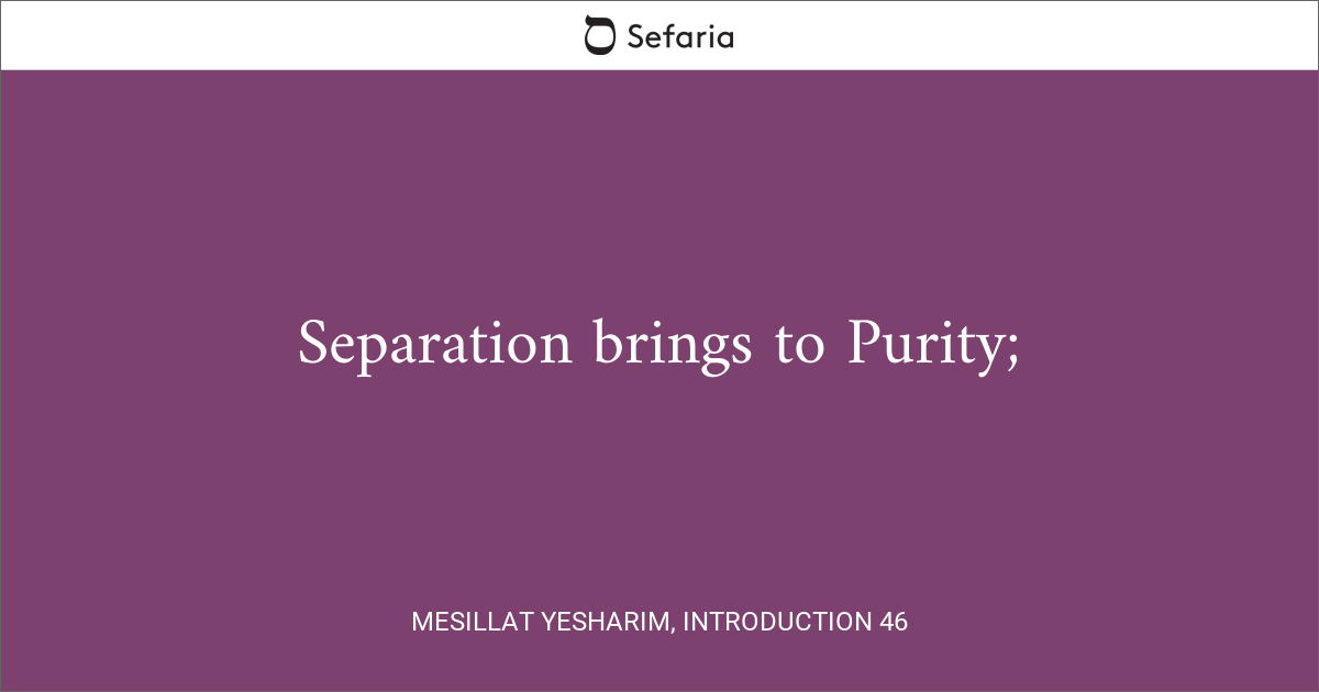 Mesillat Yesharim, Introduction 46