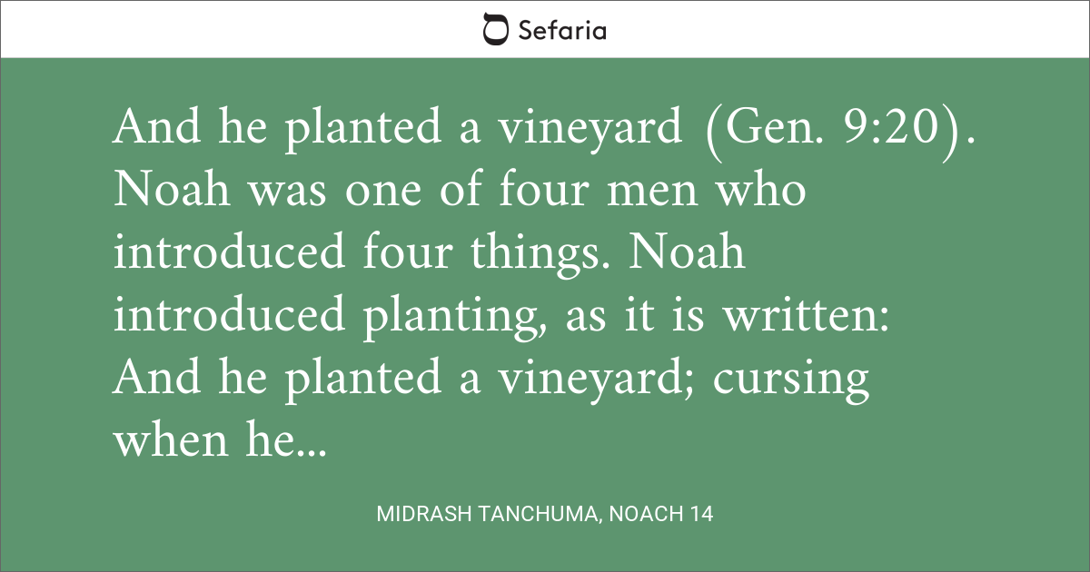 Midrash Tanchuma, Noach 14