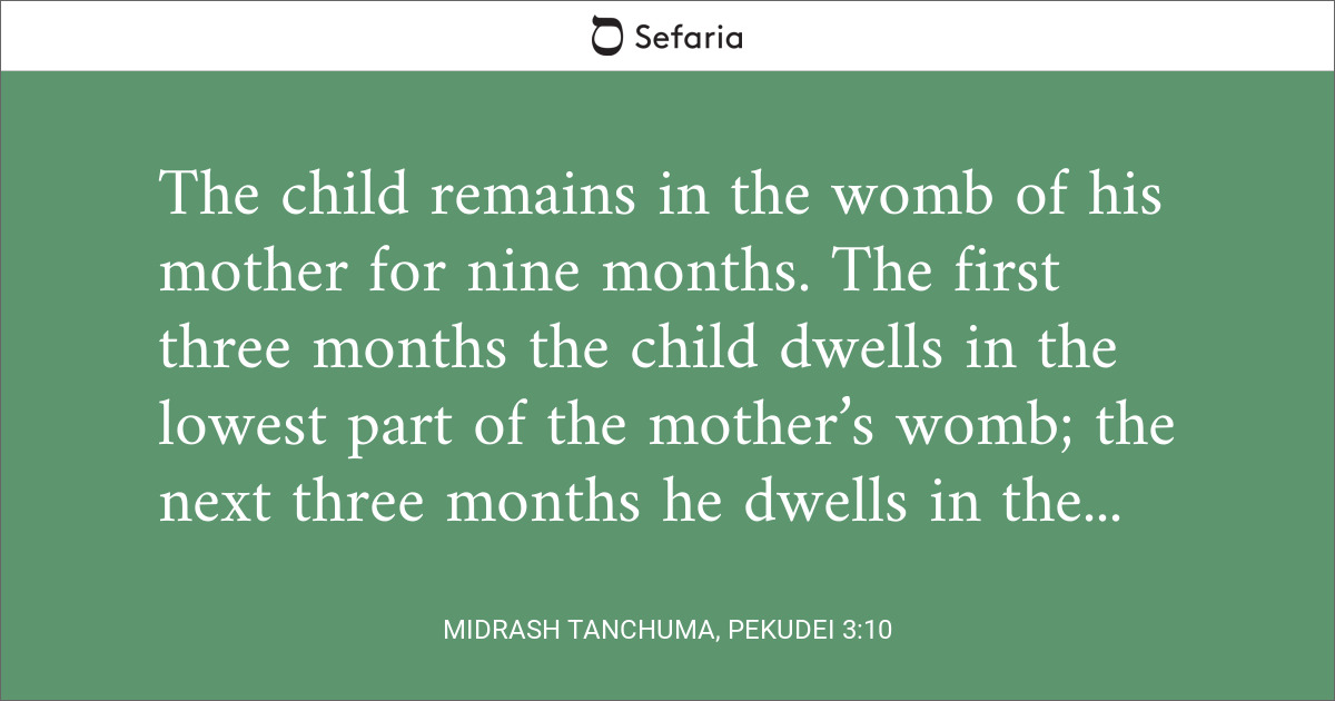 Midrash Tanchuma, Pekudei 3:10