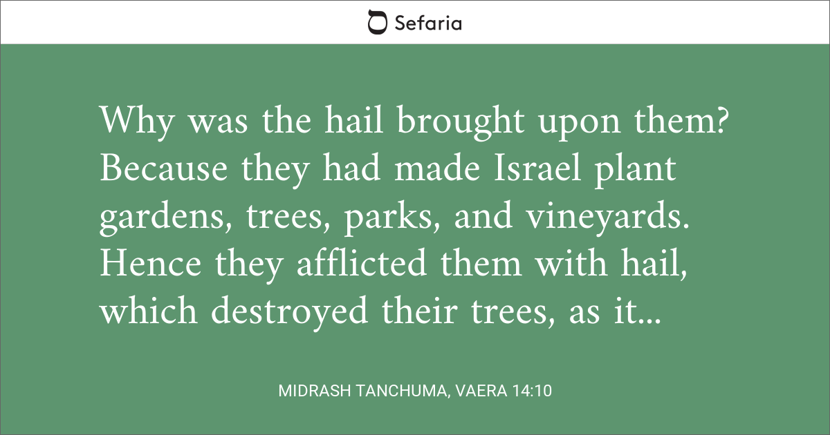 Midrash Tanchuma, Vaera 14:10