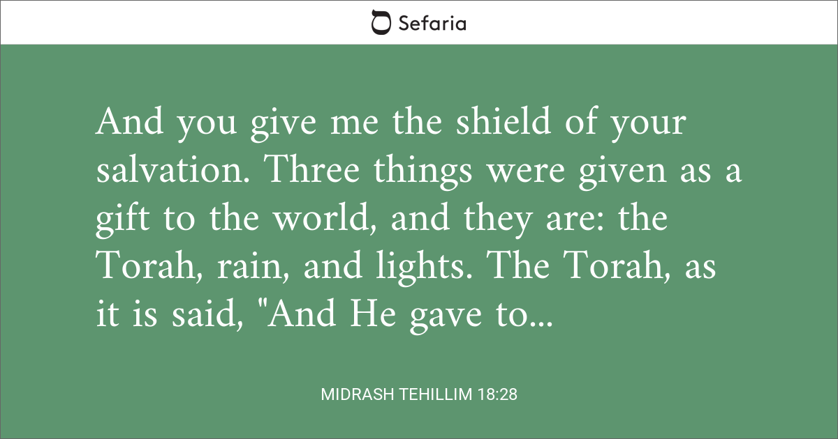 Midrash Tehillim 18:28