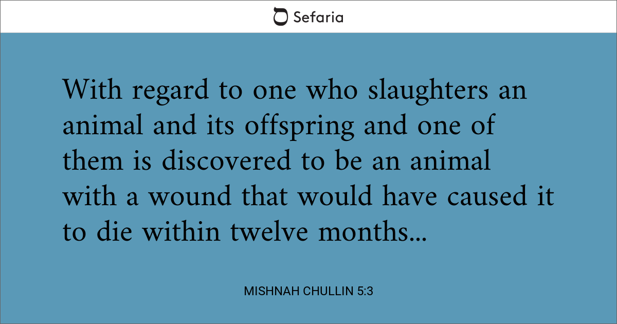 Mishnah Chullin 5:3