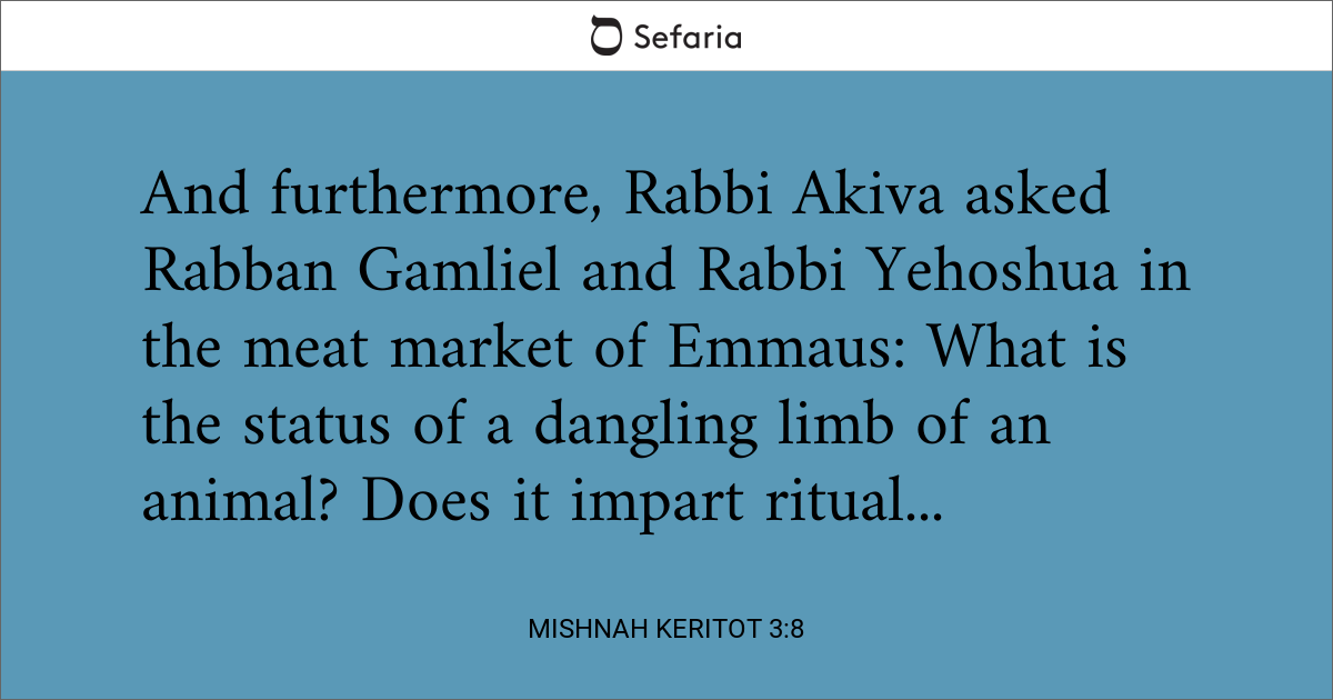Mishnah Keritot 3:8