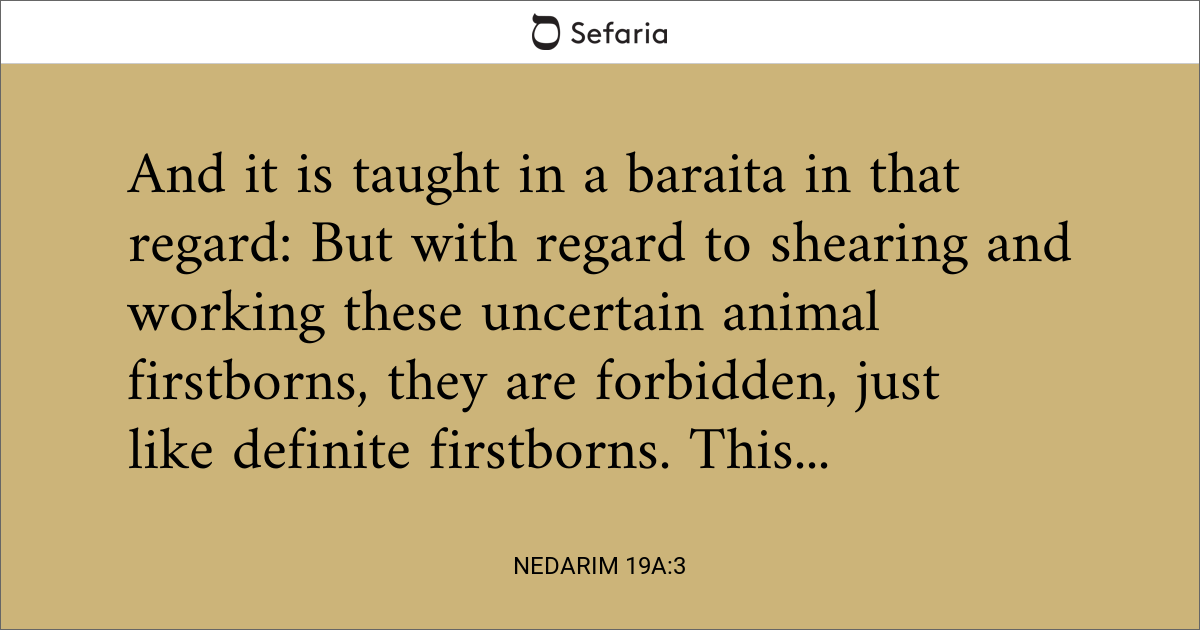 Nedarim 19a:3