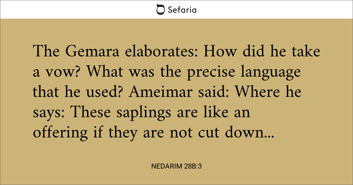 Nedarim 28b:3