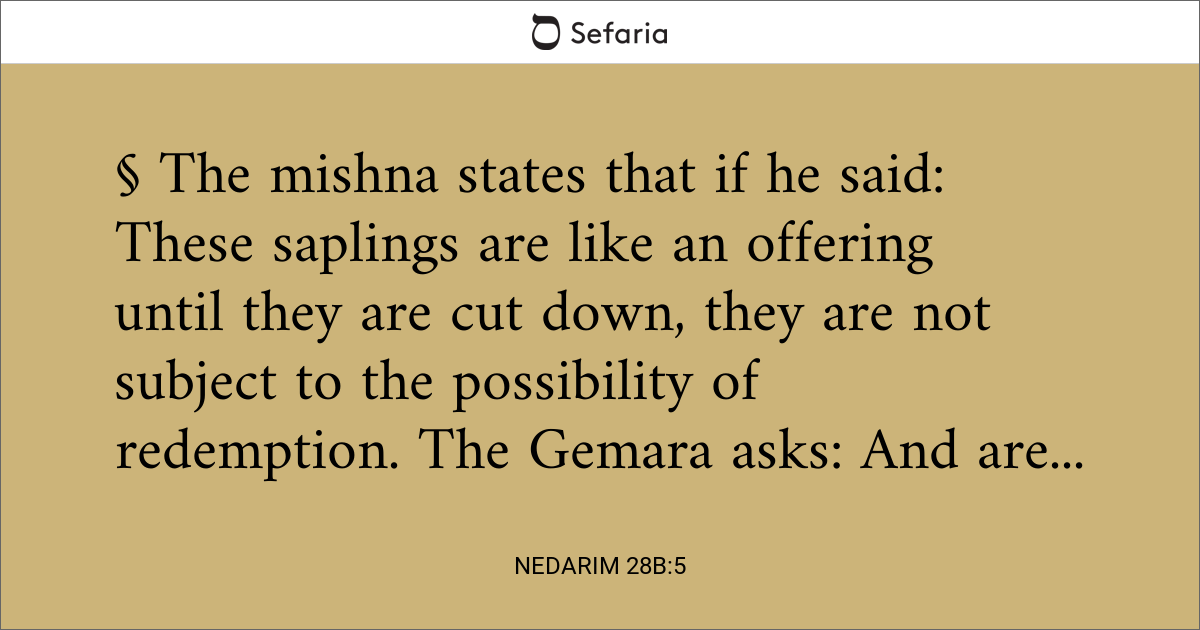 Nedarim 28b:5