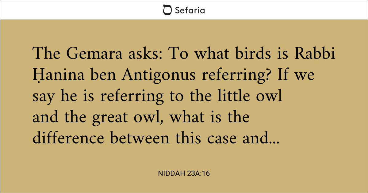 Niddah 23a:16