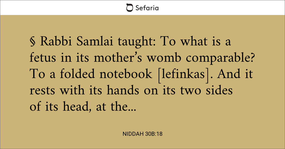 Niddah 30b:18