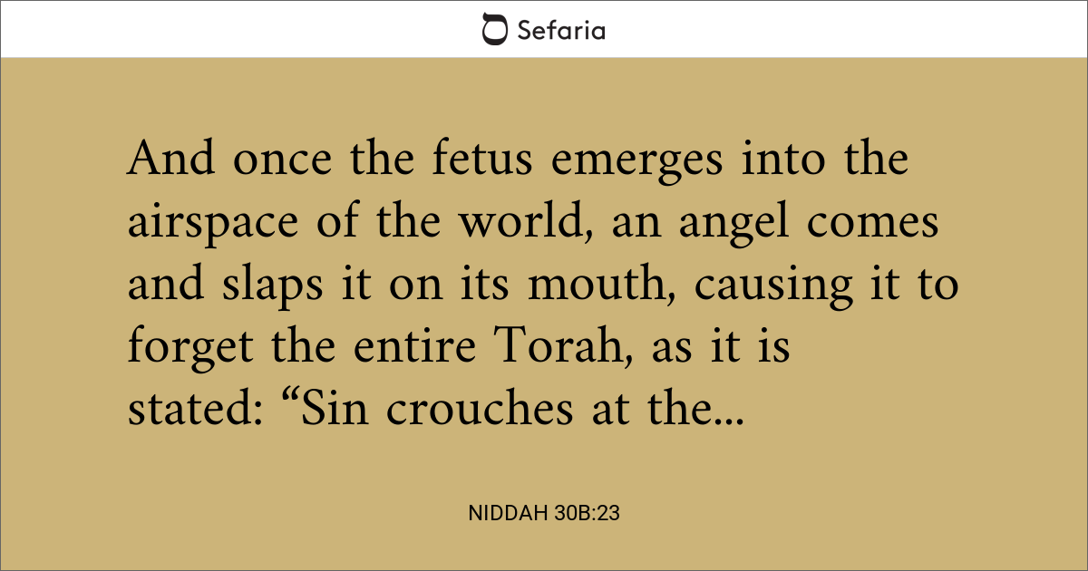 Niddah 30b:23