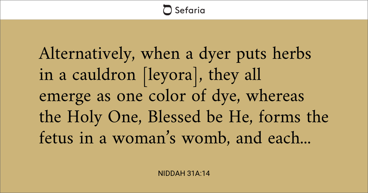 Niddah 31a:14