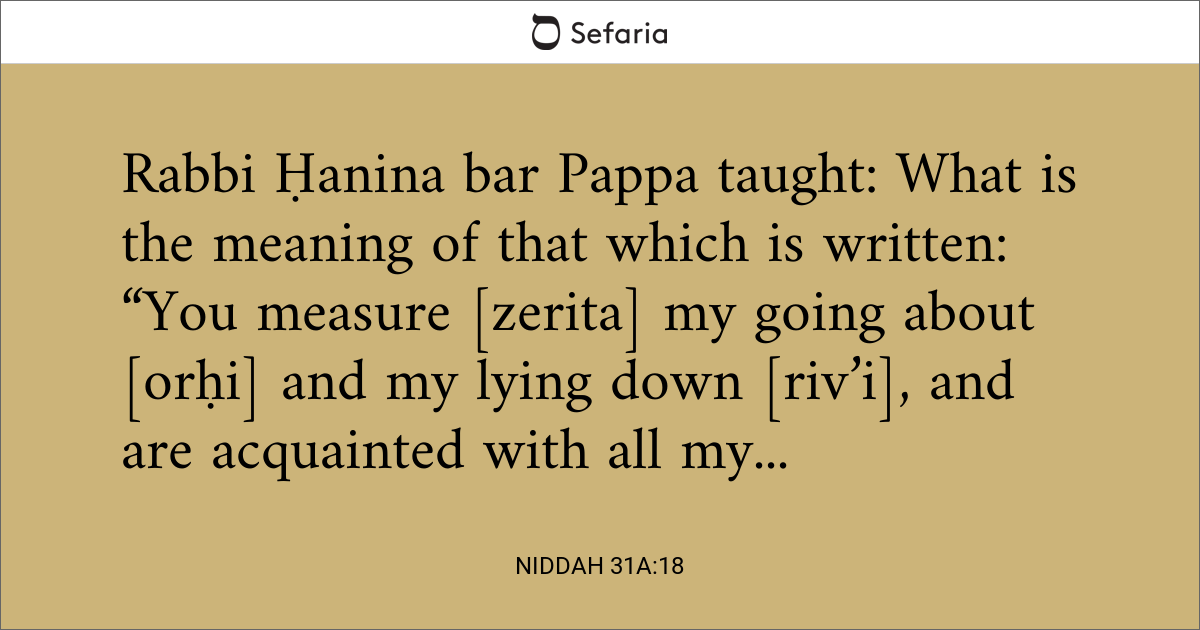 Niddah 31a:18