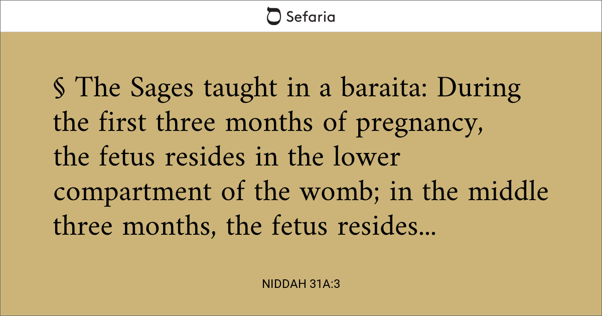 Niddah 31a:3