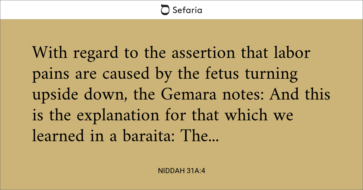 Niddah 31a:4