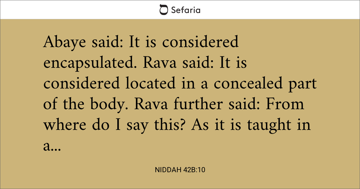 Niddah 42b:10