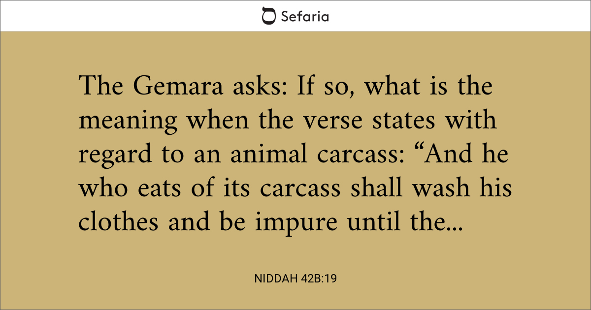 Niddah 42b:19