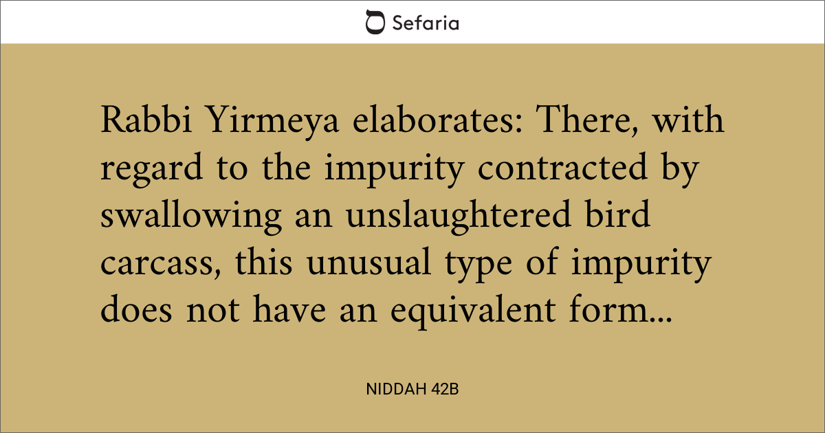 Niddah 42b