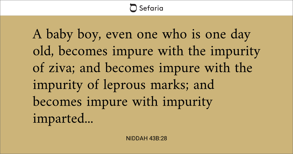 Niddah 43b:28