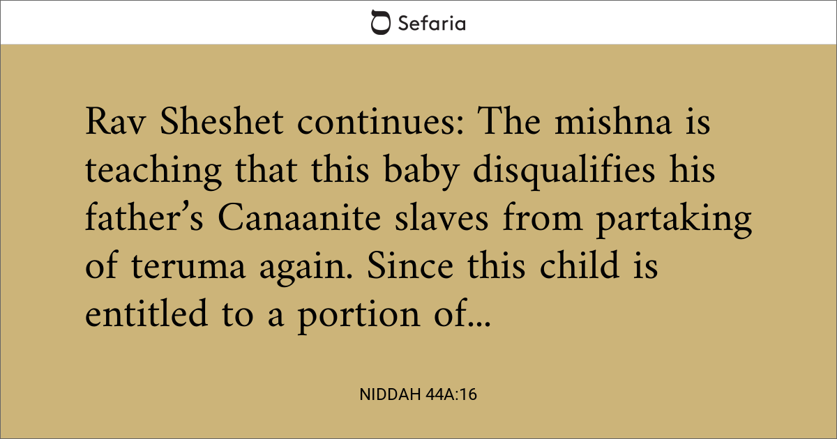 Niddah 44a:16