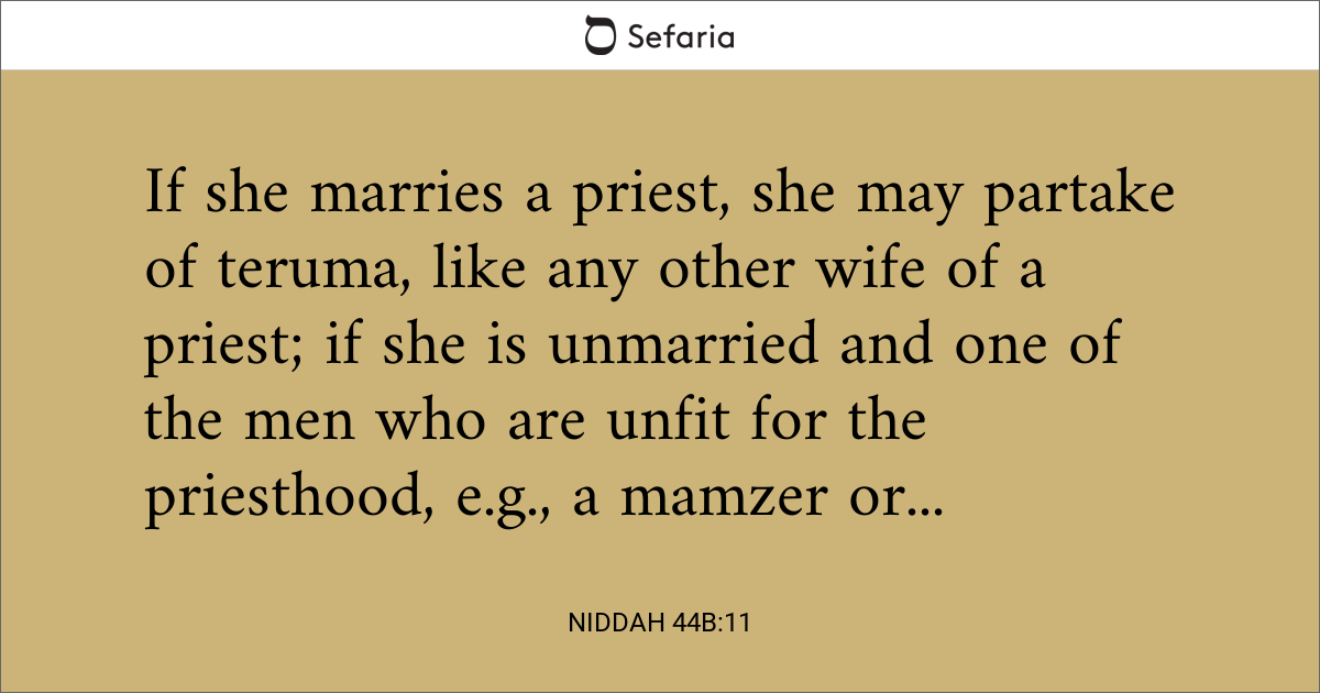 Niddah 44b:11