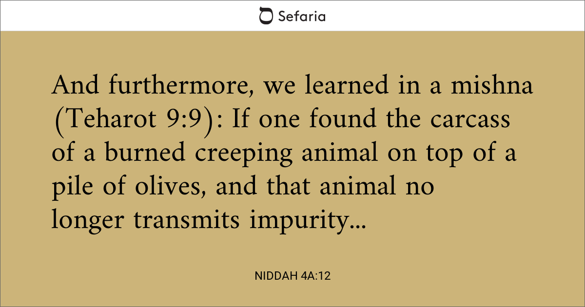 Niddah 4a:12