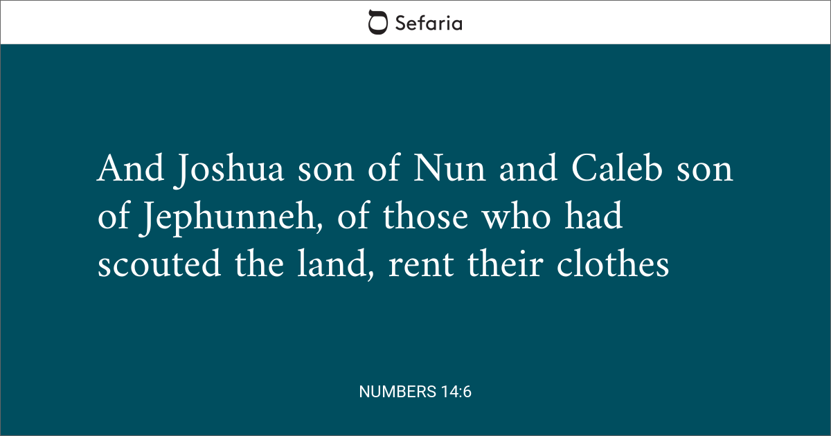 Numbers 14:6