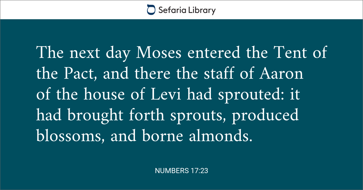 Numbers 17:23