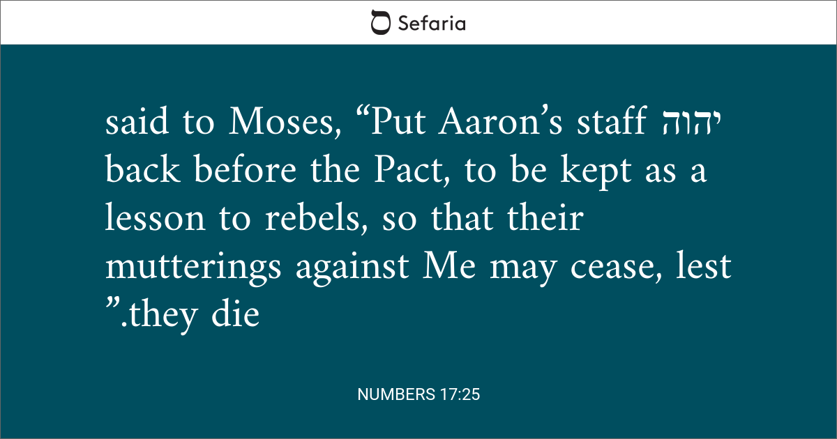 Numbers 17:25