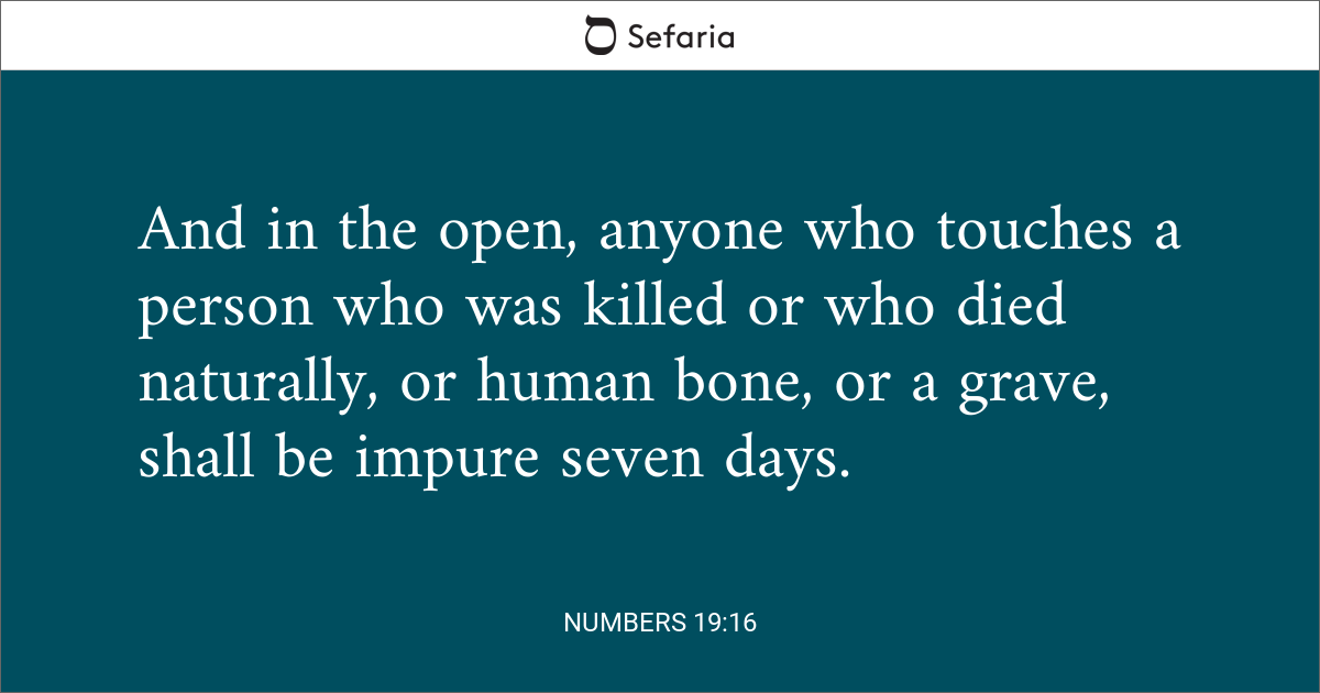 Numbers 19:16