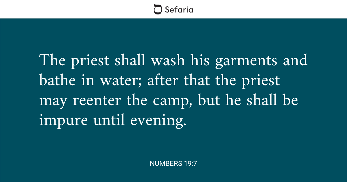 Numbers 19:7