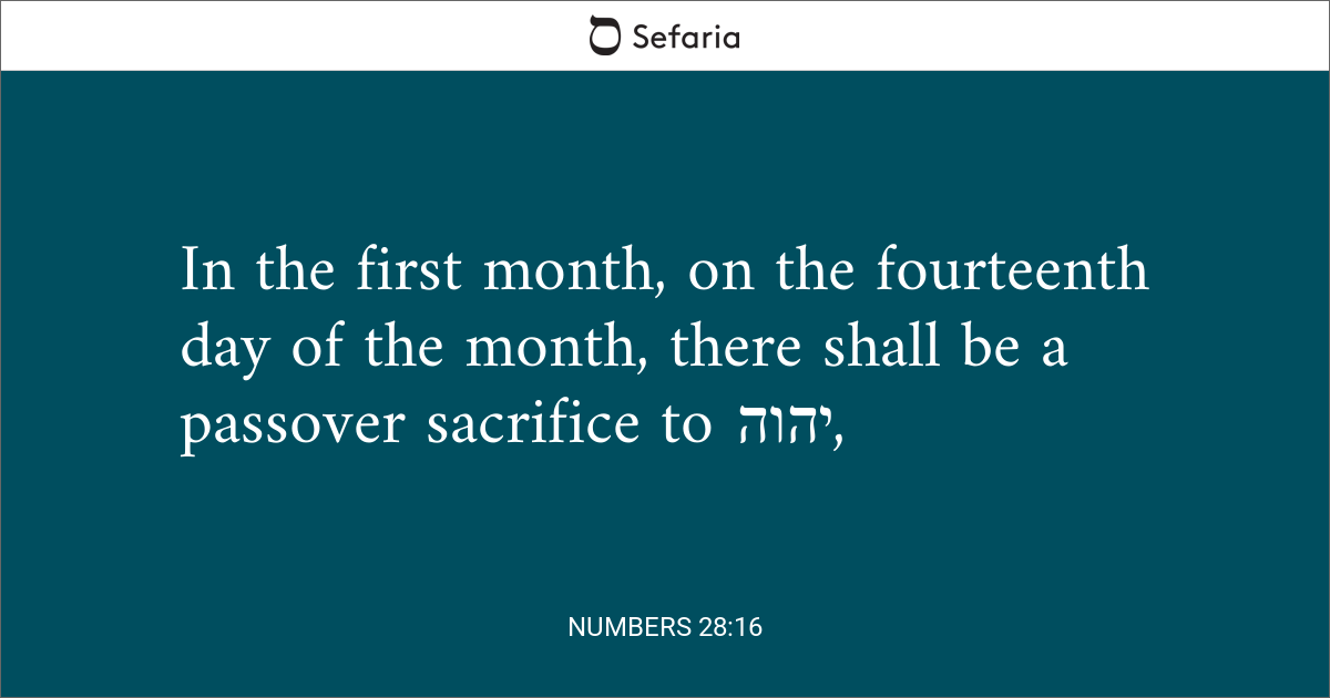 Numbers 28:16