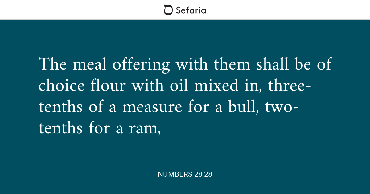 Numbers 28:28