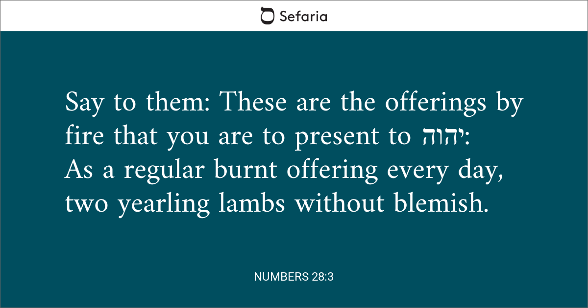 Numbers 28:3
