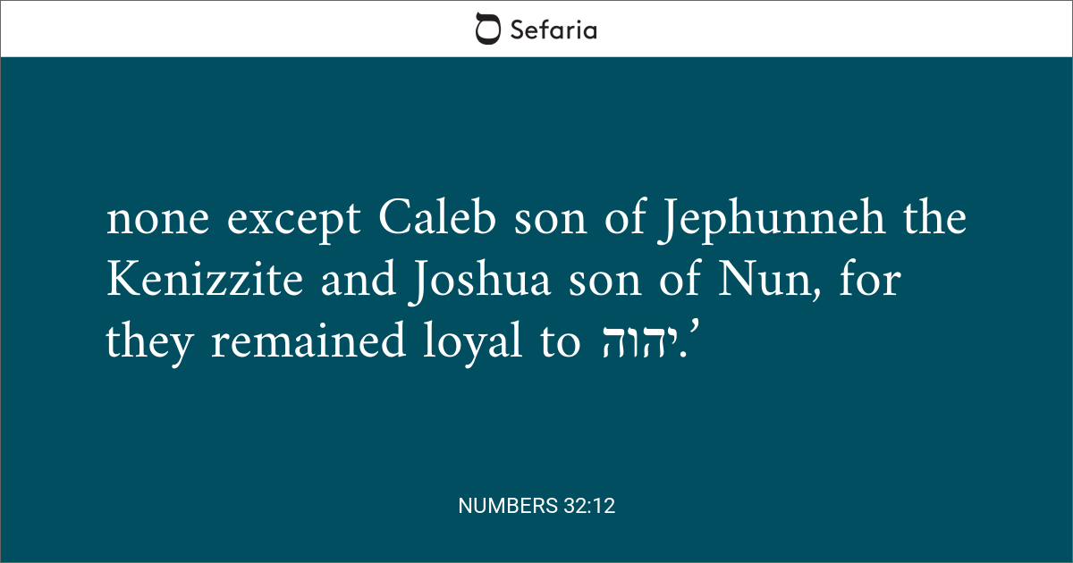 Numbers 32:12
