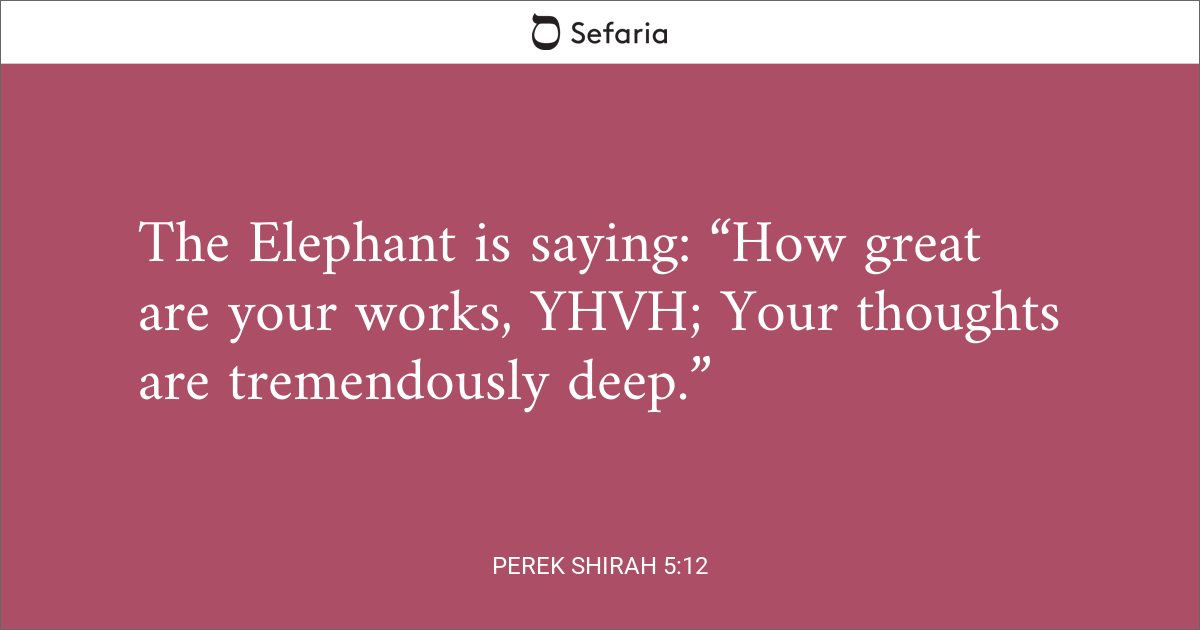 Perek Shirah 5:12