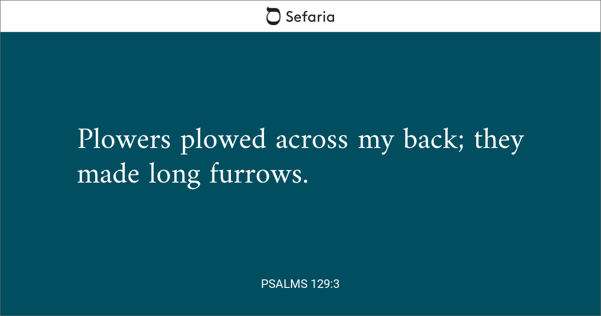 Psalms 129:3