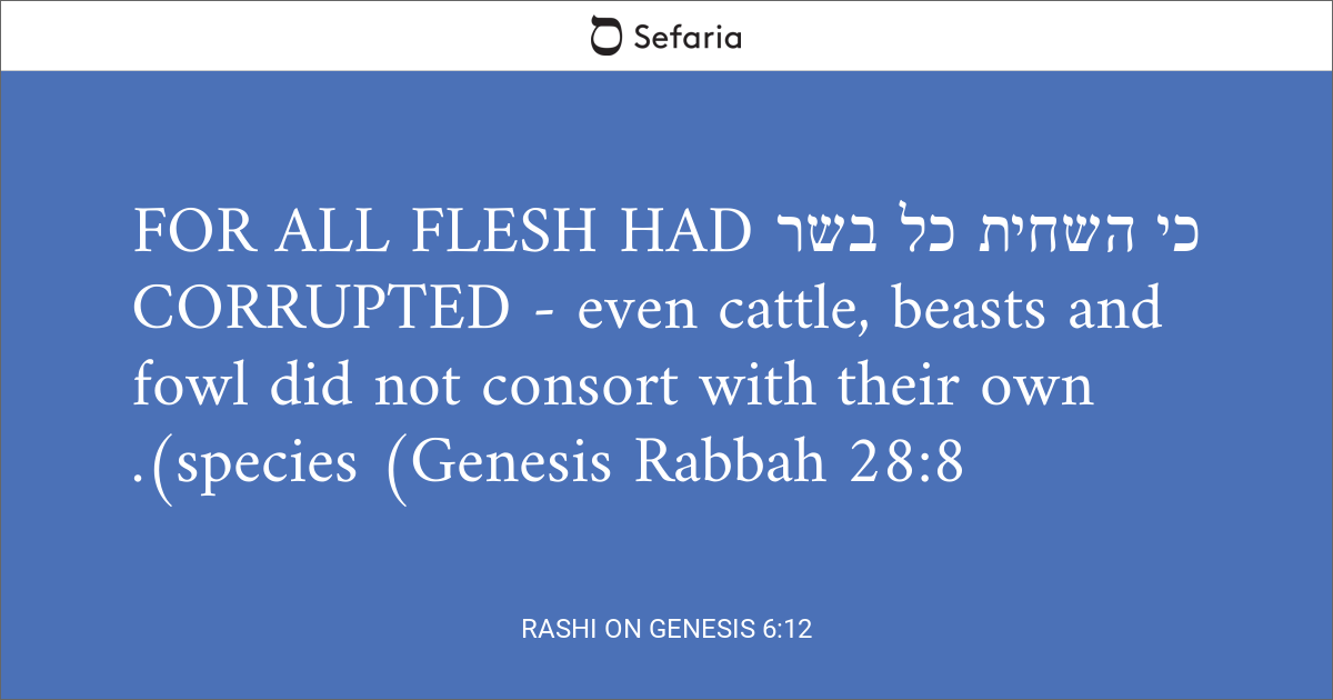 Rashi on Genesis 6:12
