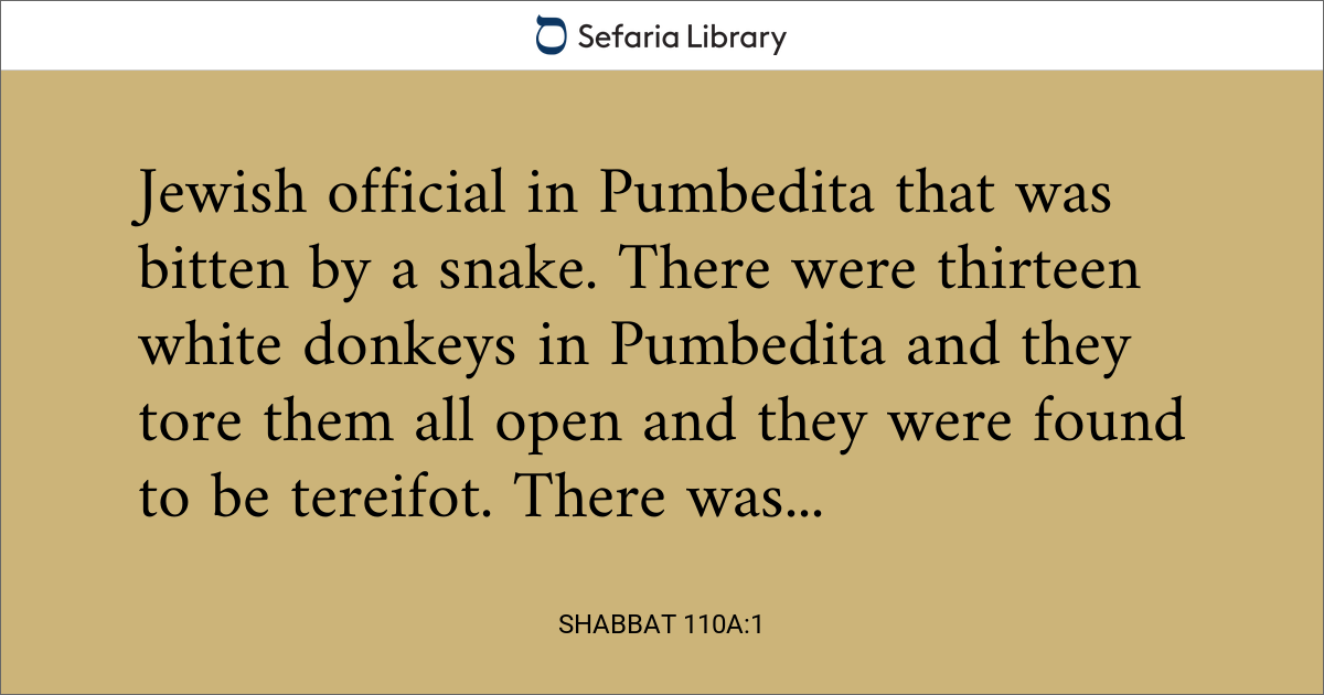 Shabbat 110a:1