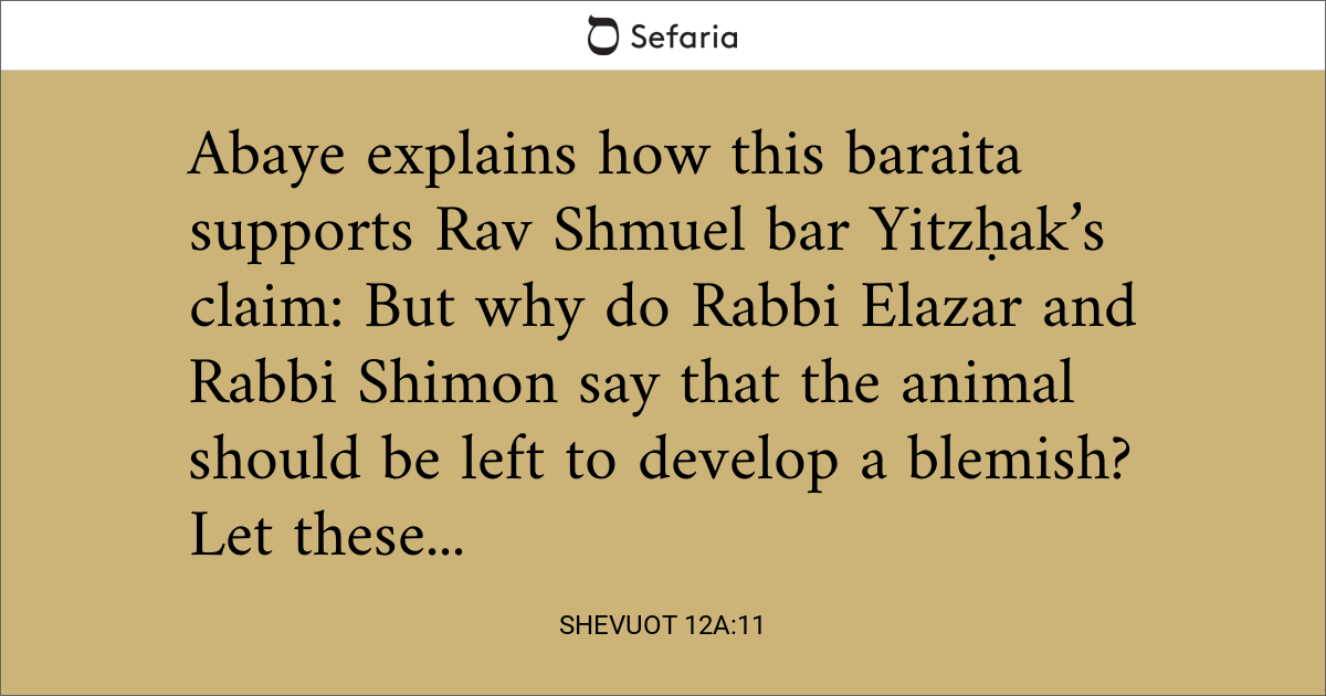 Shevuot 12a:11