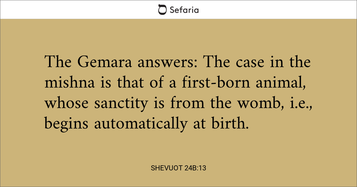 Shevuot 24b:13